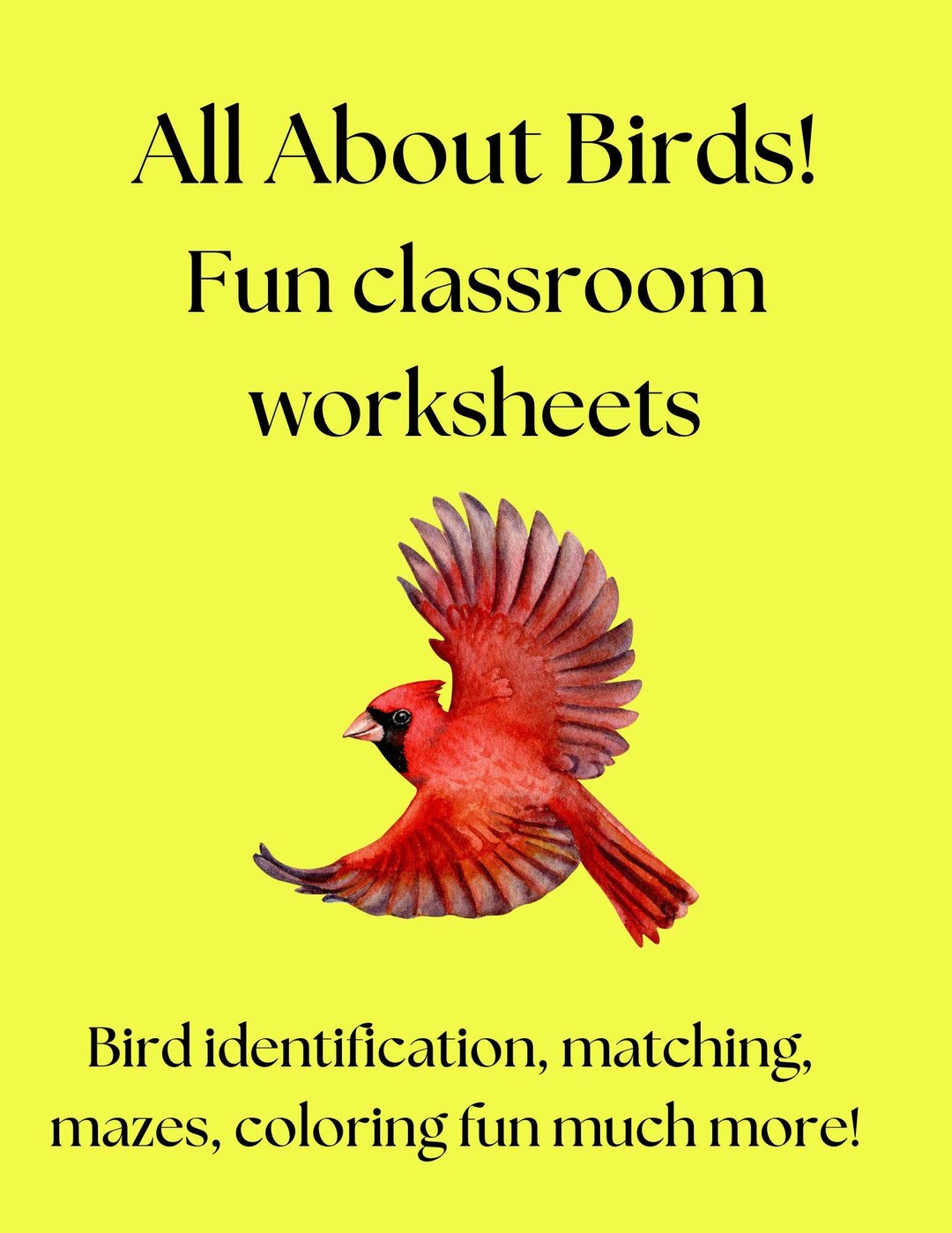 Bird Worksheet Educational Bird Pages, Classroom Bird Info, Birding ...