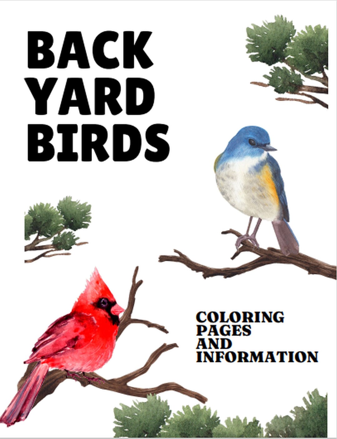 Back Yard Bird Coloring Pages and Information, Class Room Bird Pages ...