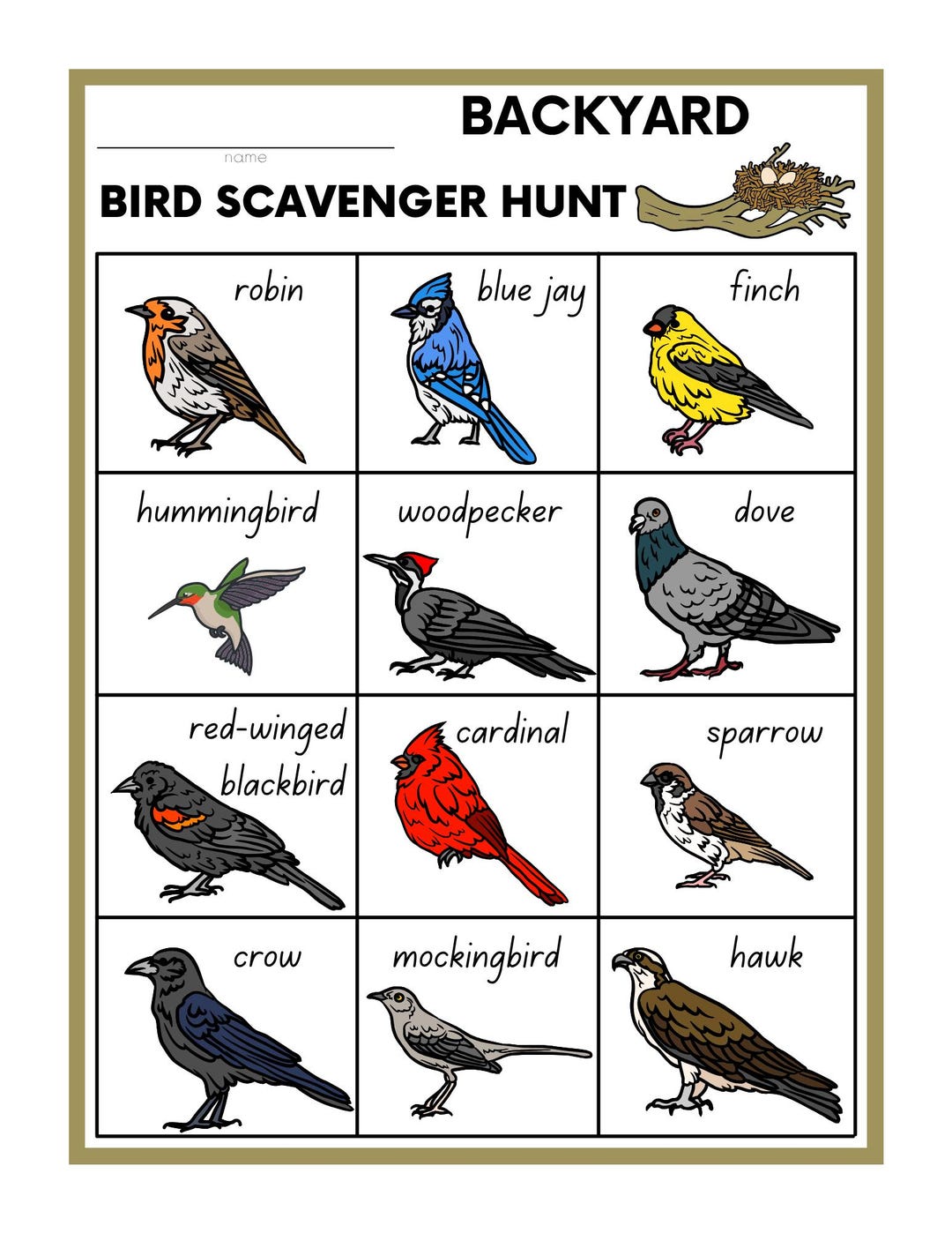 Bird Scavenger Hunt: Educational Nature Game (digital Download) - Etsy