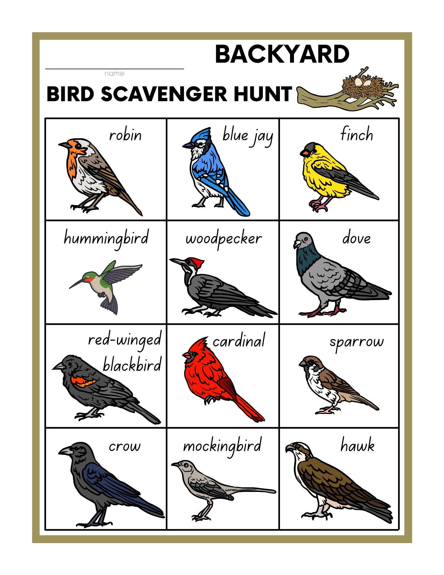 Bird Scavenger Hunt: Educational Nature Game (digital Download) - Etsy