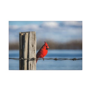 Cardinal Bird Canvas Wall Art: Beach Scene, Home Decor - Etsy