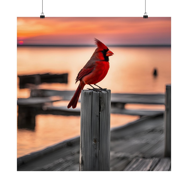 Matte Vertical Posters,cardinal at the Ocean Poster, Cardinal Gift ...