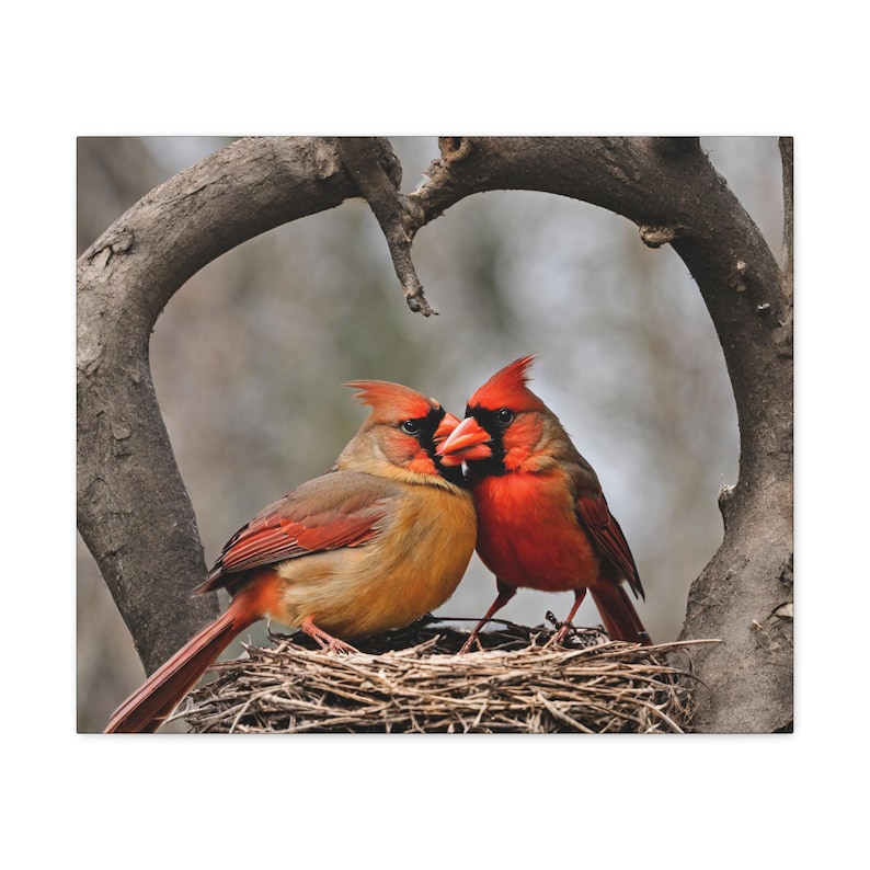 Canvas Gallery Wraps, Cardinal Valentine Canvas Wrap Wall Art, Cardinal ...
