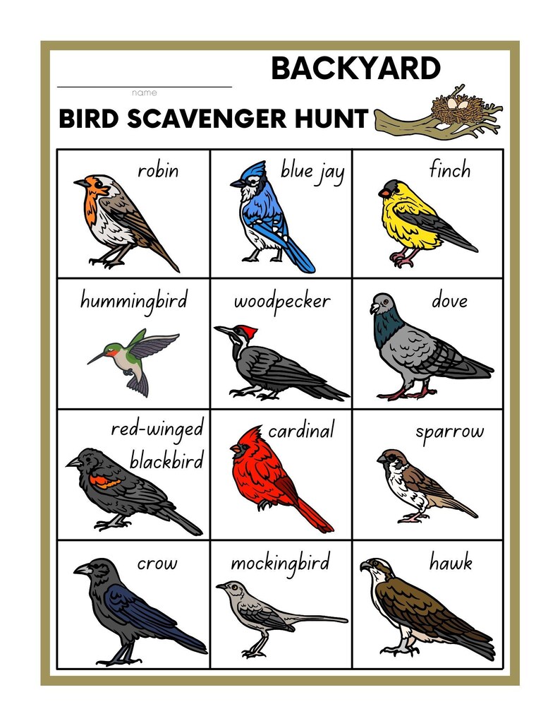 Backyard Bird Scavenger Hunt,classroom Bird Activity, Educational ...