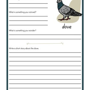 Backyard Bird Scavenger Hunt,classroom Bird Activity, Educational ...