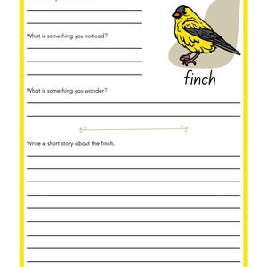 Backyard Bird Scavenger Hunt,classroom Bird Activity, Educational ...