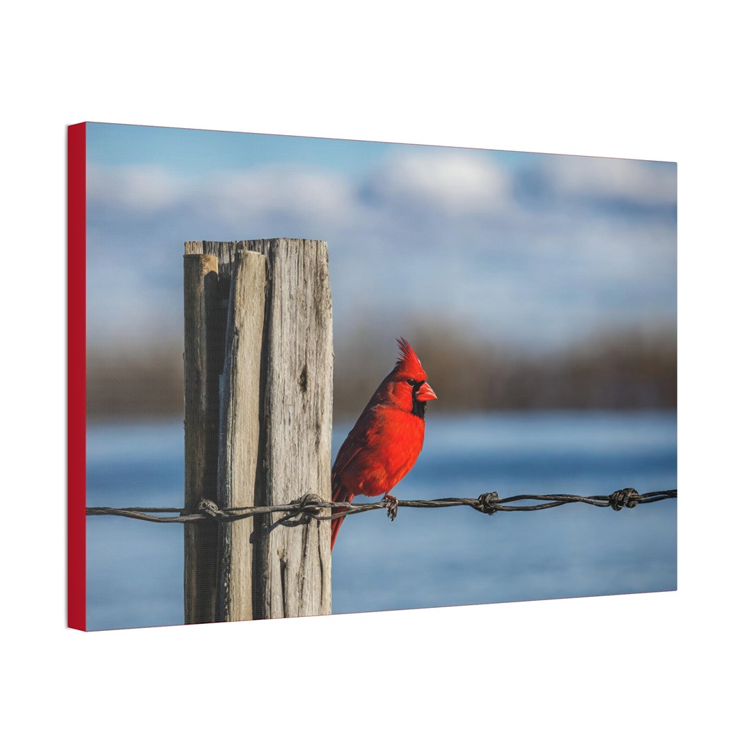 Cardinal Bird Canvas Wall Art: Beach Scene, Home Decor - Etsy