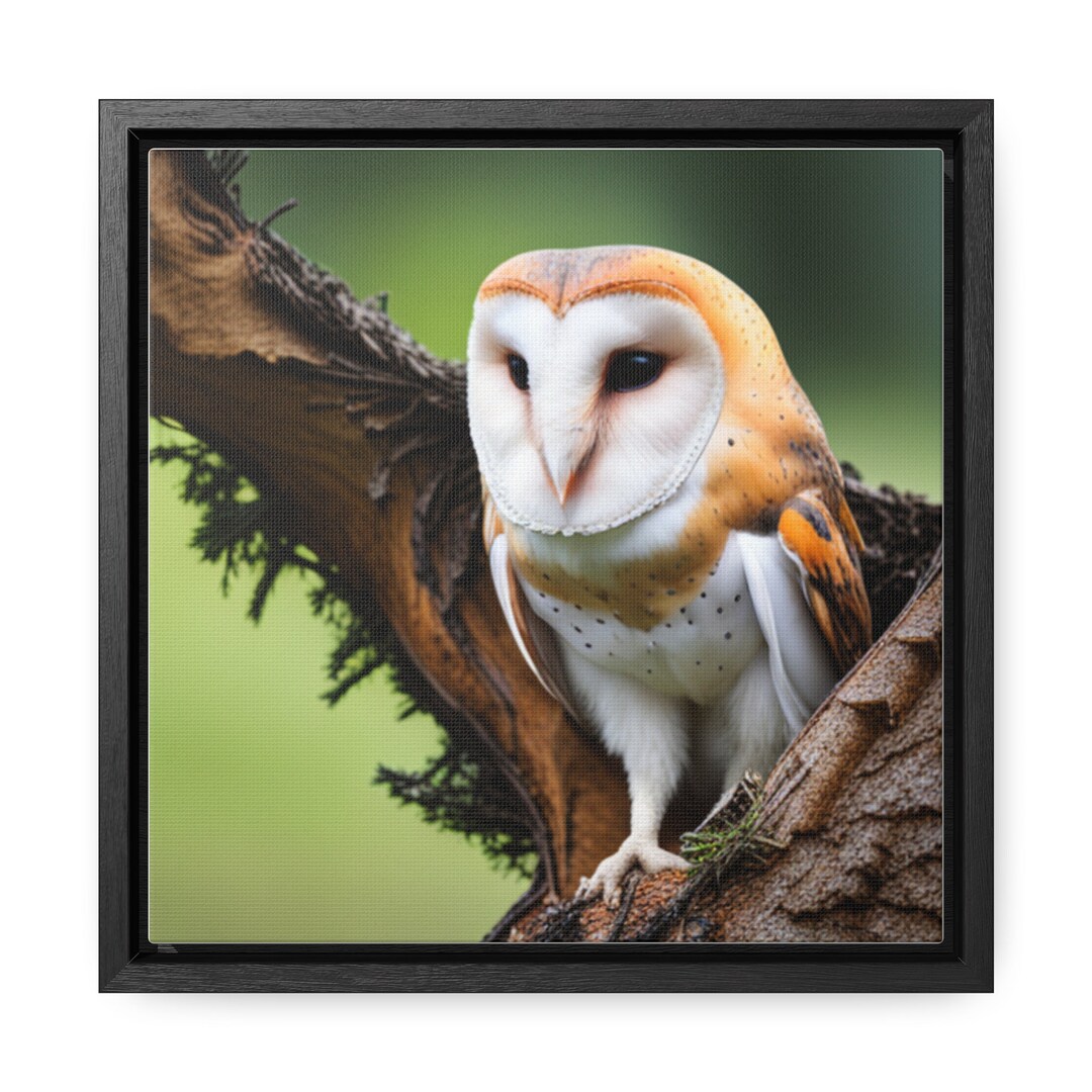 Barn Owl Canvas Wrap: Walnut or Black Frame, Owl Decor - Etsy