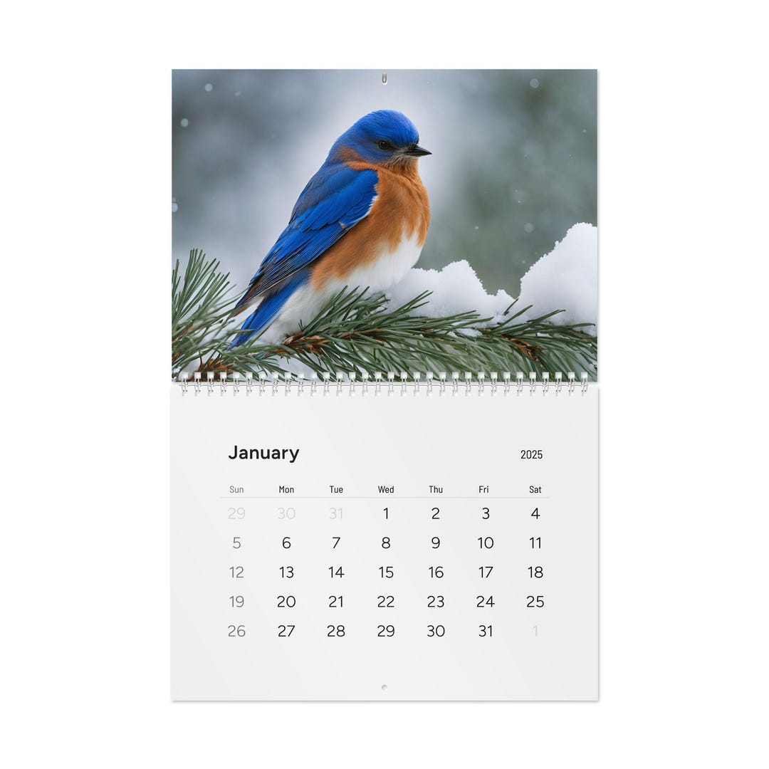 Standard Wall Calendar (2025),bird Wall Calendar, Birding Gift ...