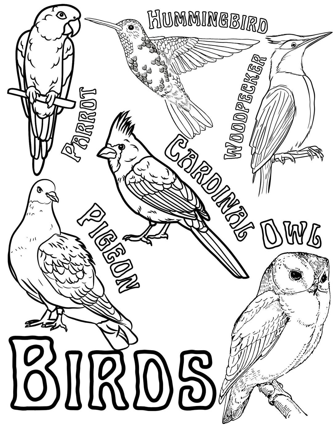 Birds Coloring Page - Etsy