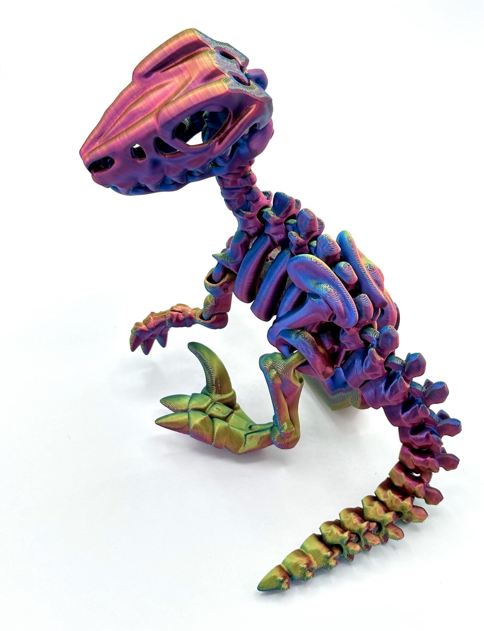 3D Printed Flexi Raptor Dinosaur: Articulated Skeleton Fidget Toy - Etsy