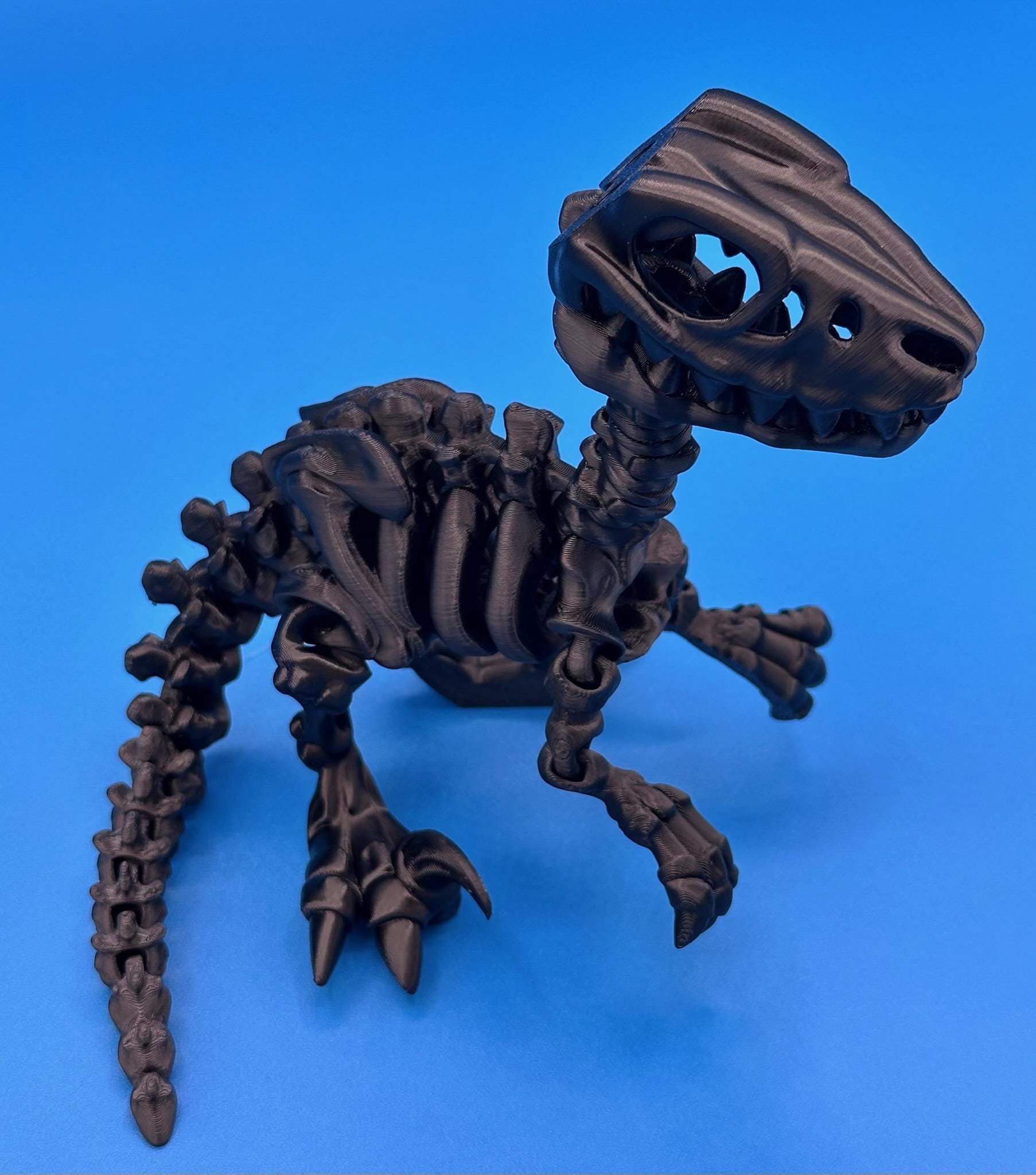 3D Printed Flexi Raptor Dinosaur: Articulated Skeleton Fidget Toy - Etsy