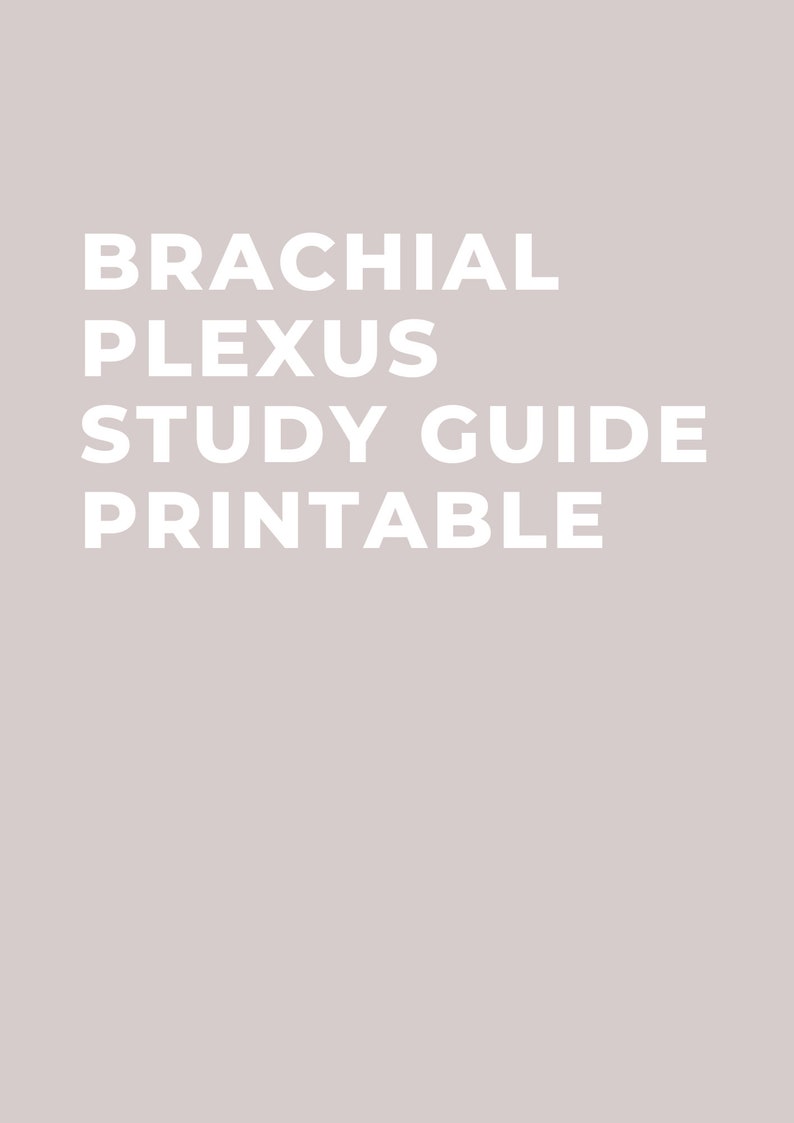 Brachial Plexus Study Guide Printable. Includes Labeling, Fill in the ...