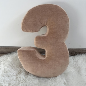 Colorful Number Pillow, Fabric Number Decoration, Personalized Number ...