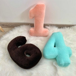 Colorful Number Pillow, Fabric Number Decoration, Personalized Number ...