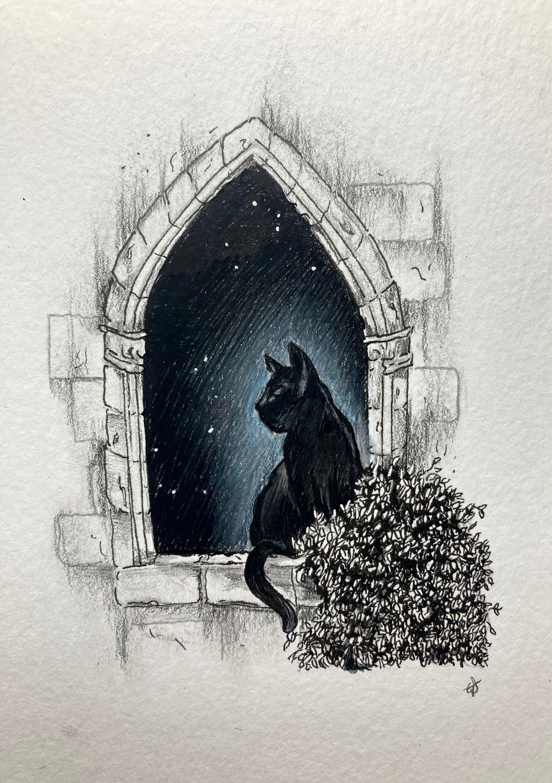 The Church Cat - Original Ink and Pencil Illustration, Gothic, Animal ...