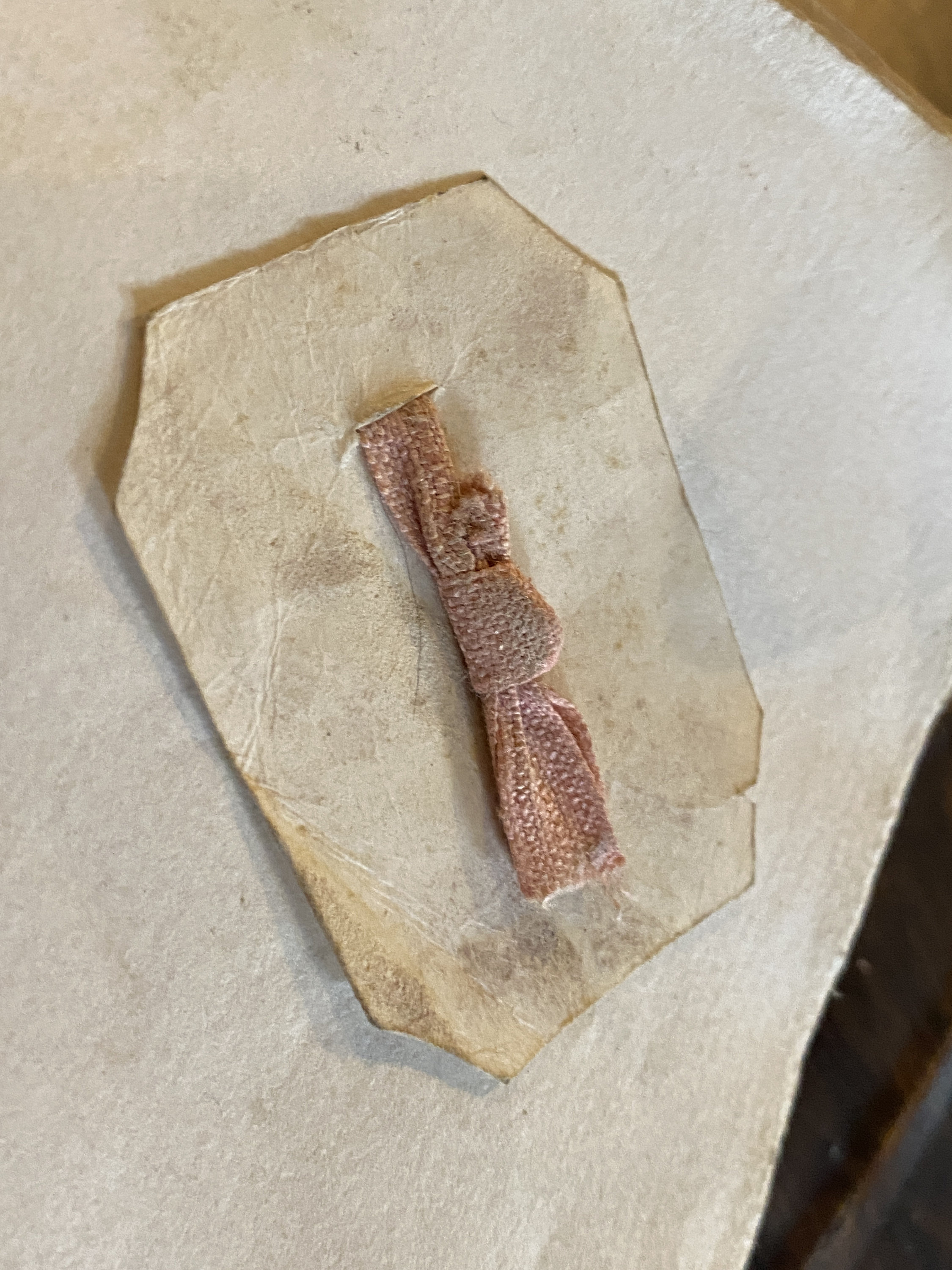 1851 Victorian Antique Paper Manuscript Ephemera Indenture - Etsy