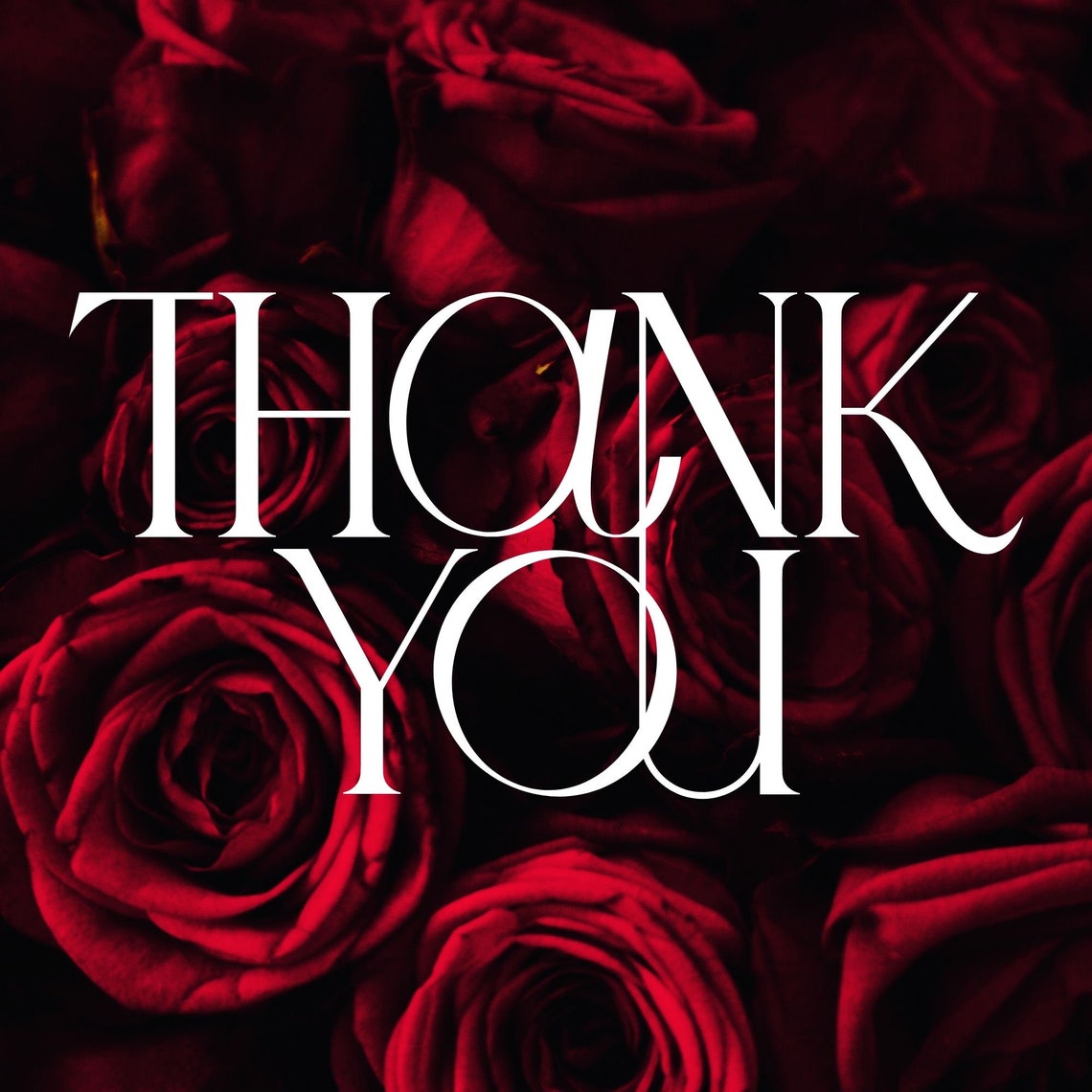 78 Tarot Cards Deck, Red Rose Tarot Cards, Printable Oracle Deck ...