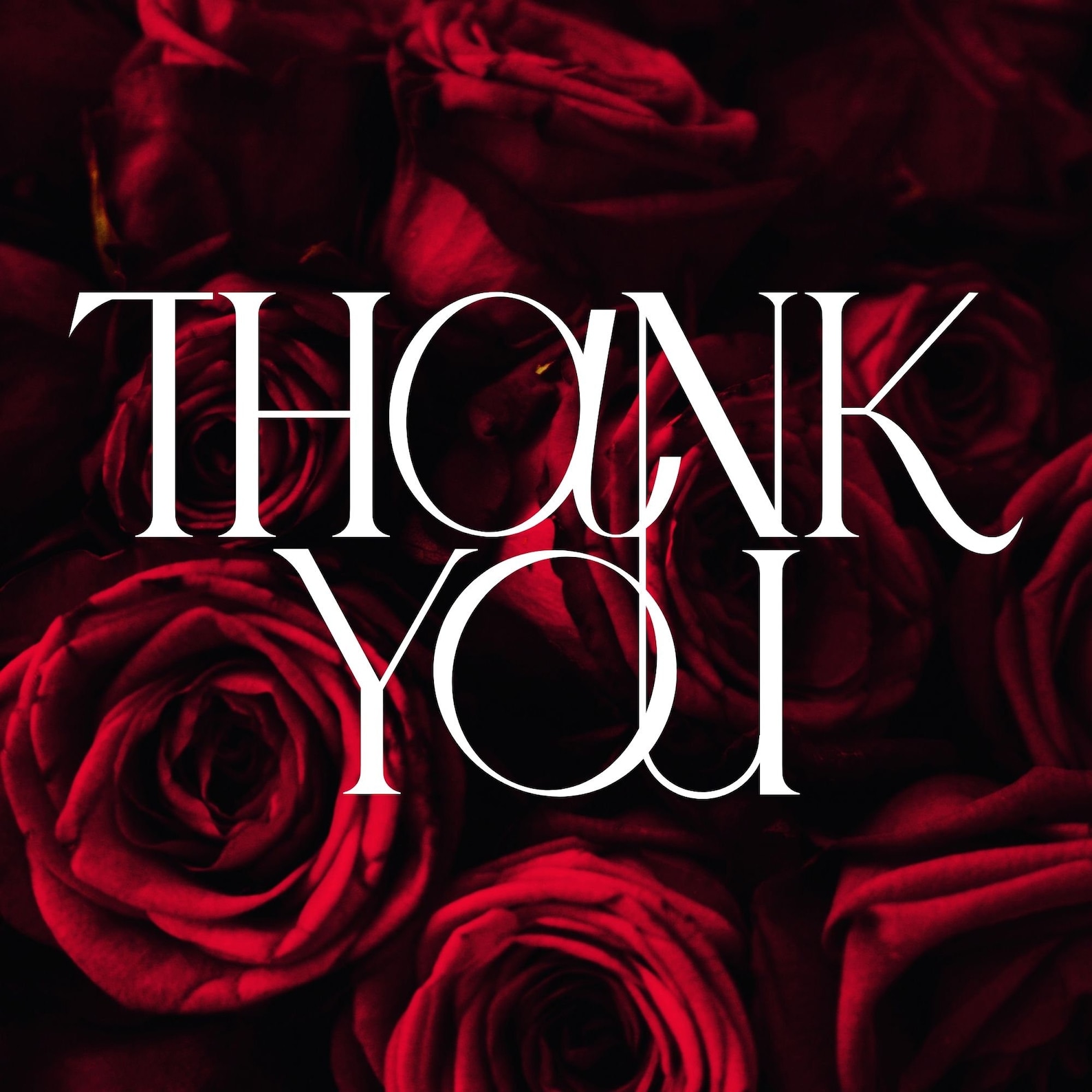 78 Tarot Cards Deck, Red Rose Tarot Cards, Printable Oracle Deck ...