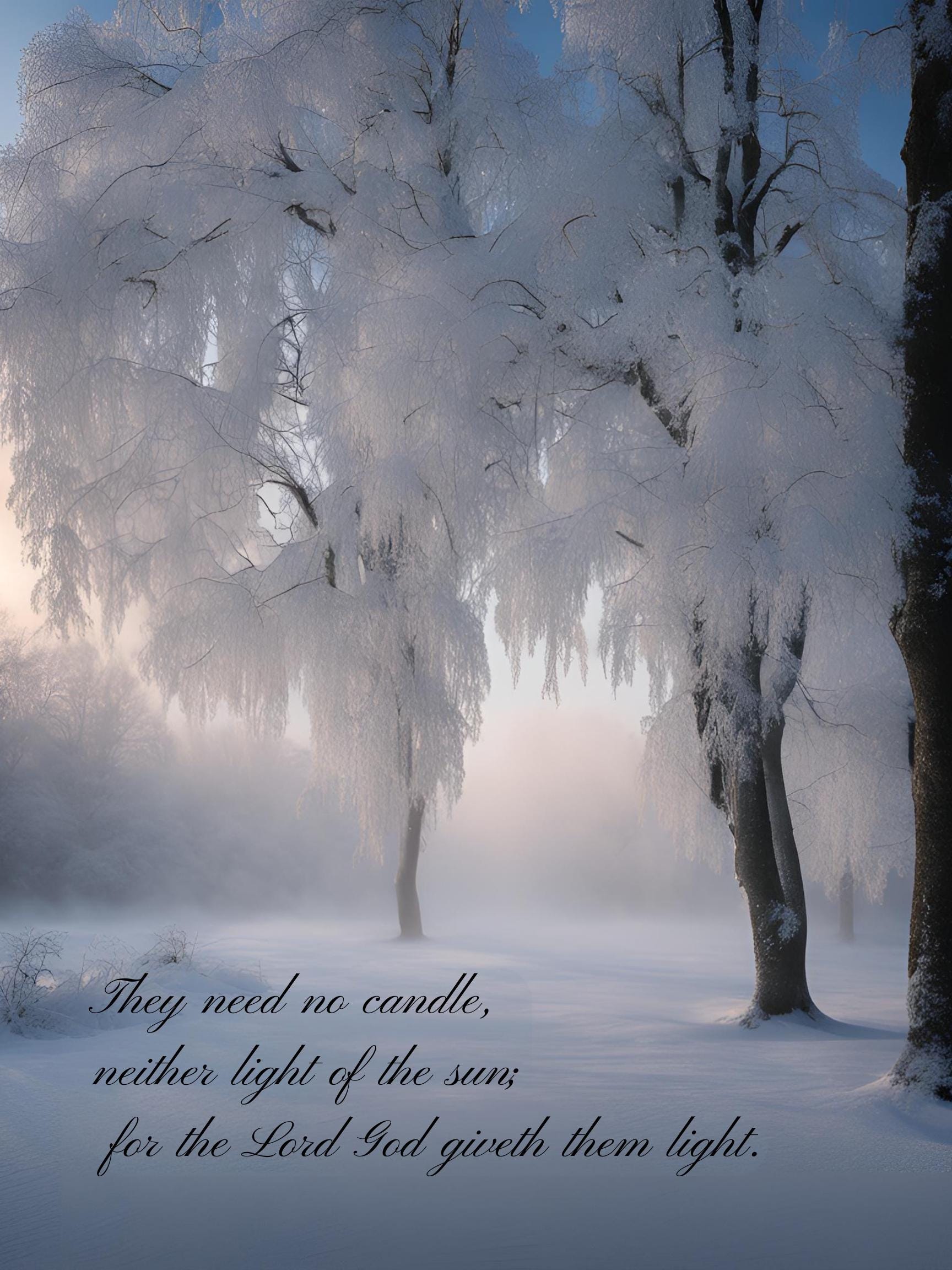 Winter Light - Frozen Snowy Trees and Bible Verse - Etsy