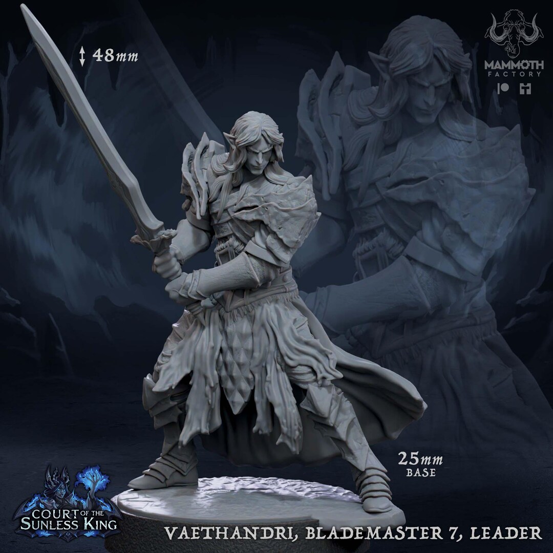 Vaethandri Elf Knight Leader Figure 12k 14k + BONUS Print 3D RPG ...