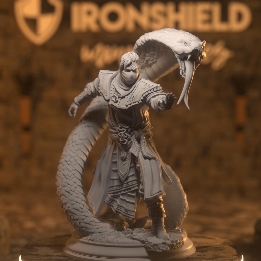 Yin Zhu - the Snake Charmer Sorcerer Figure 14k + Base Print 3D RPG ...