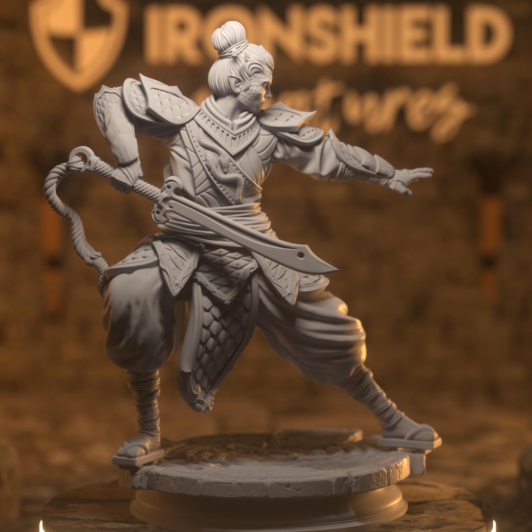 Jin Shi - Commander Ninja Assassin Figure 14k + Base Print 3D RPG ...