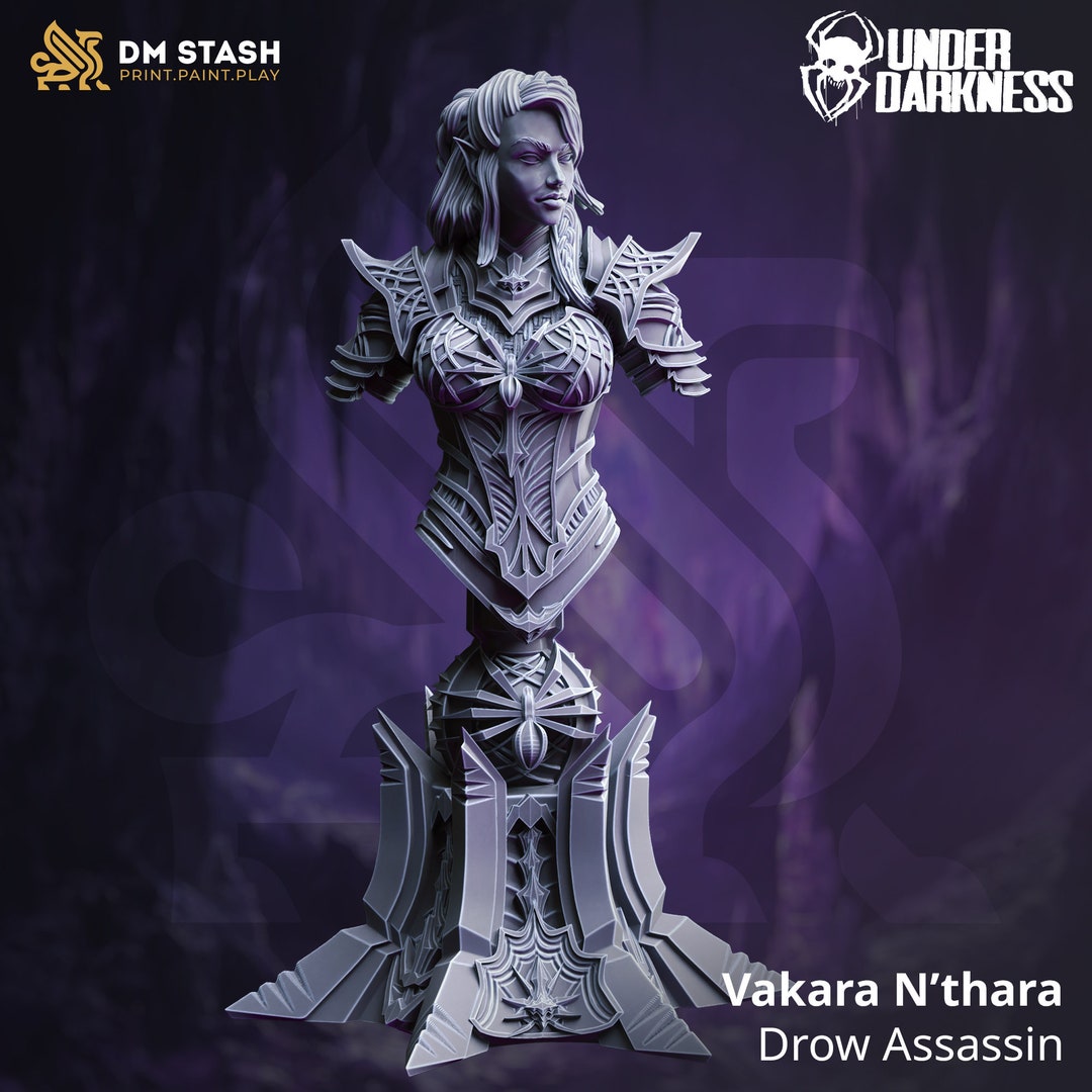 BUST Drow Assassin Vakara N'thara 120mm Tall Figure Print 3d 12k ...