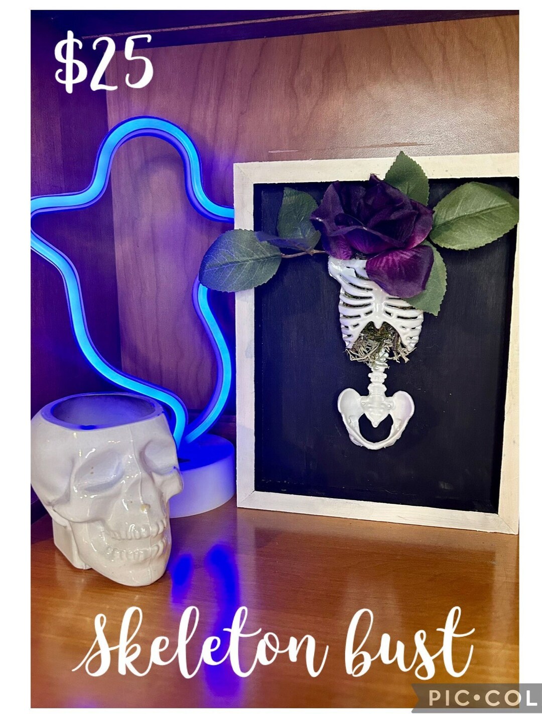 Decorative Framed Skeleton Torso - Etsy