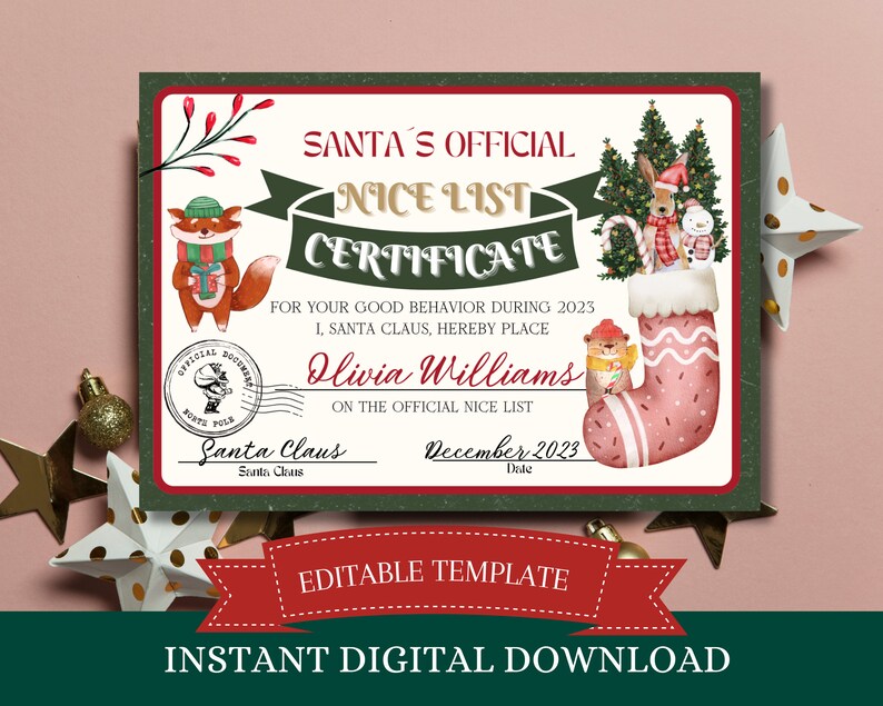 Editable Nice List Certificate, Printable Nice List Certificate, Santa ...