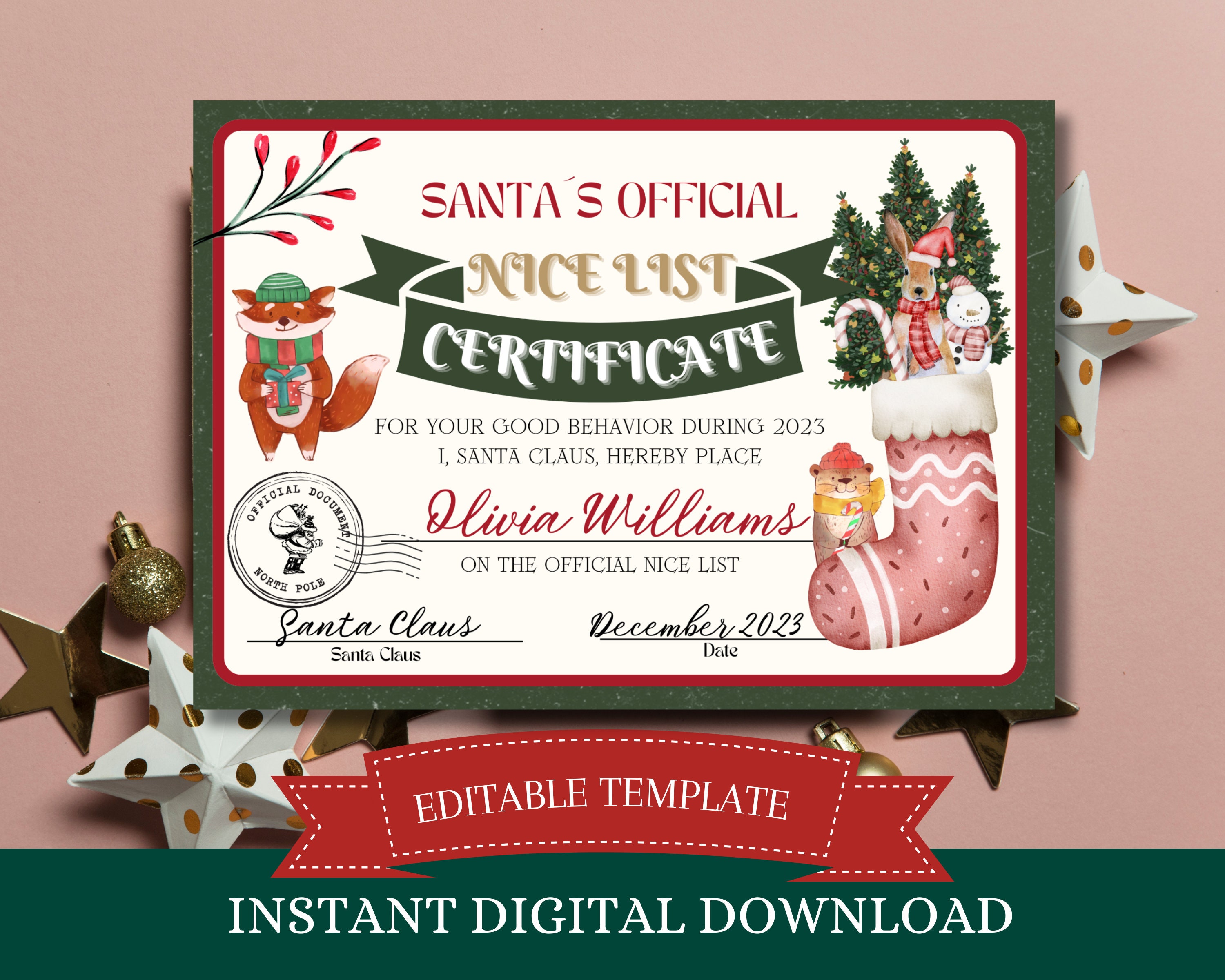Editable Nice List Certificate, Printable Nice List Certificate, Santa ...