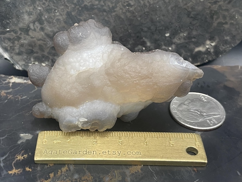 Extra Large Moroccan Truffle Chalcedony (panda Agate) With Bubbly ...