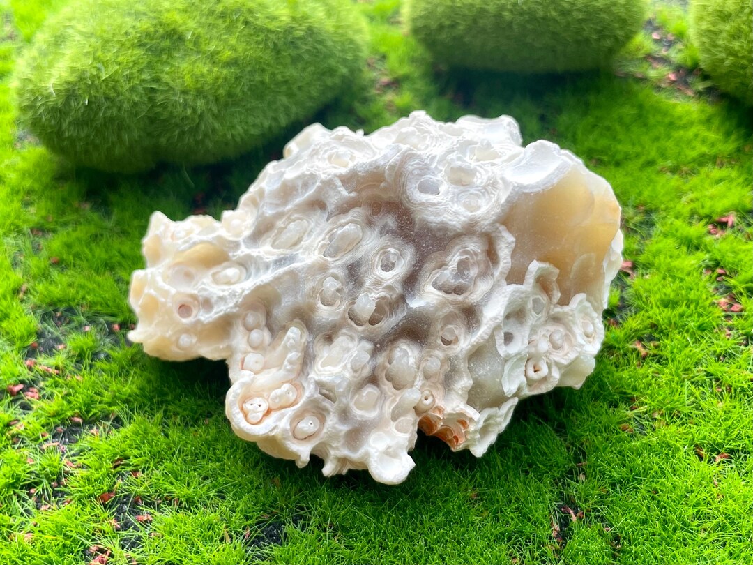 Naturally Formed Mountain Shape Botryoidal Madgascar Chalcedony With ...