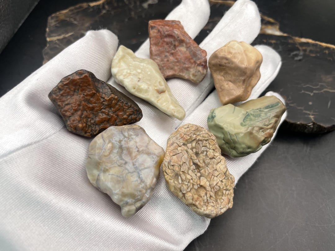 Alashan Gobi Desert Jasper 7 Pieces Set: Natural Rough Stones, Earth ...