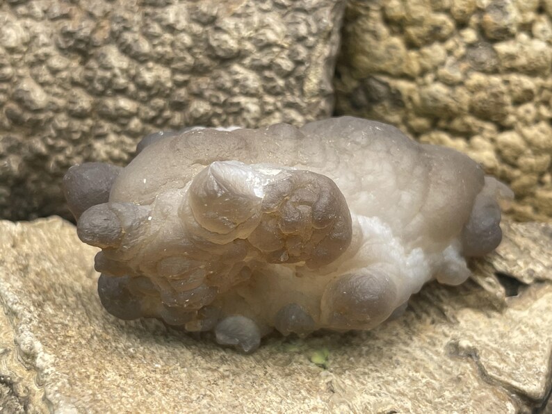 Extra Large Moroccan Truffle Chalcedony (panda Agate) With Bubbly ...
