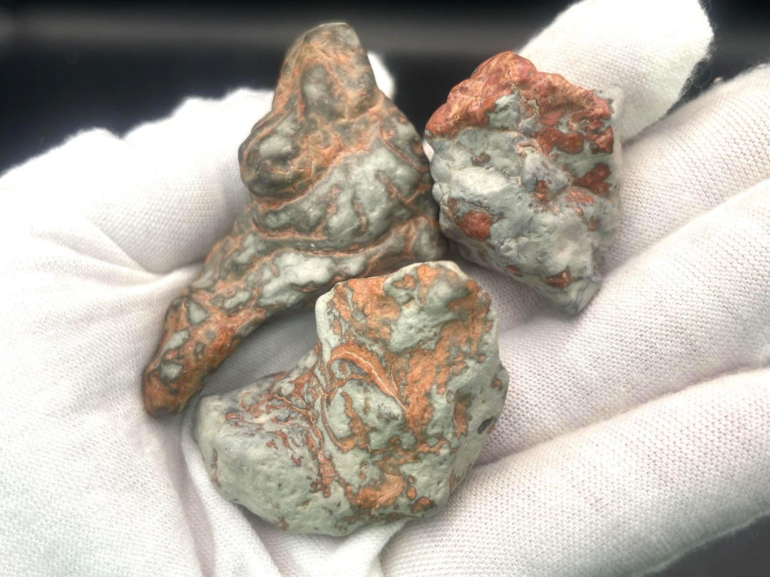 Pick One Gobi Desert Mudstone Gray and Red Web Surface Pattern - Etsy