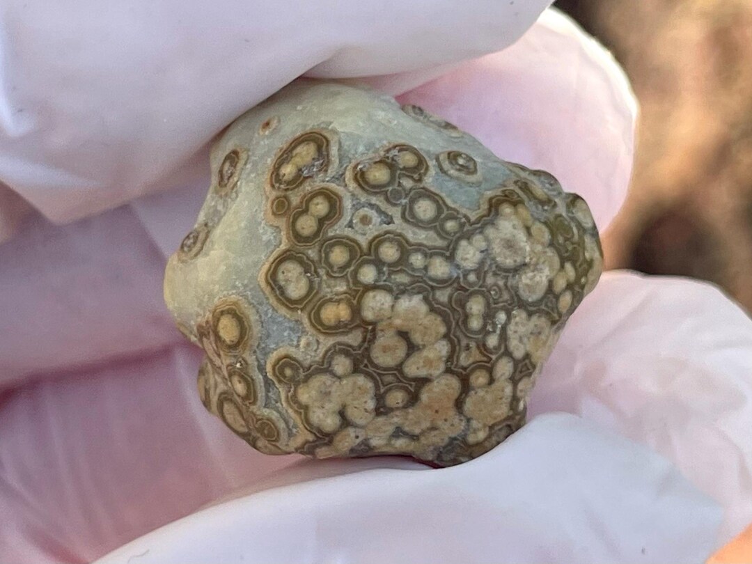 Zhuozishan zhuozi Mountain Gobi Desert Eye Agate With Golden Outline ...