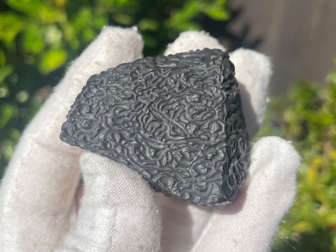 Collector Grade Gobi Desert Lop Nur Black Wrinkle Mudstone 81.2g Crispy ...