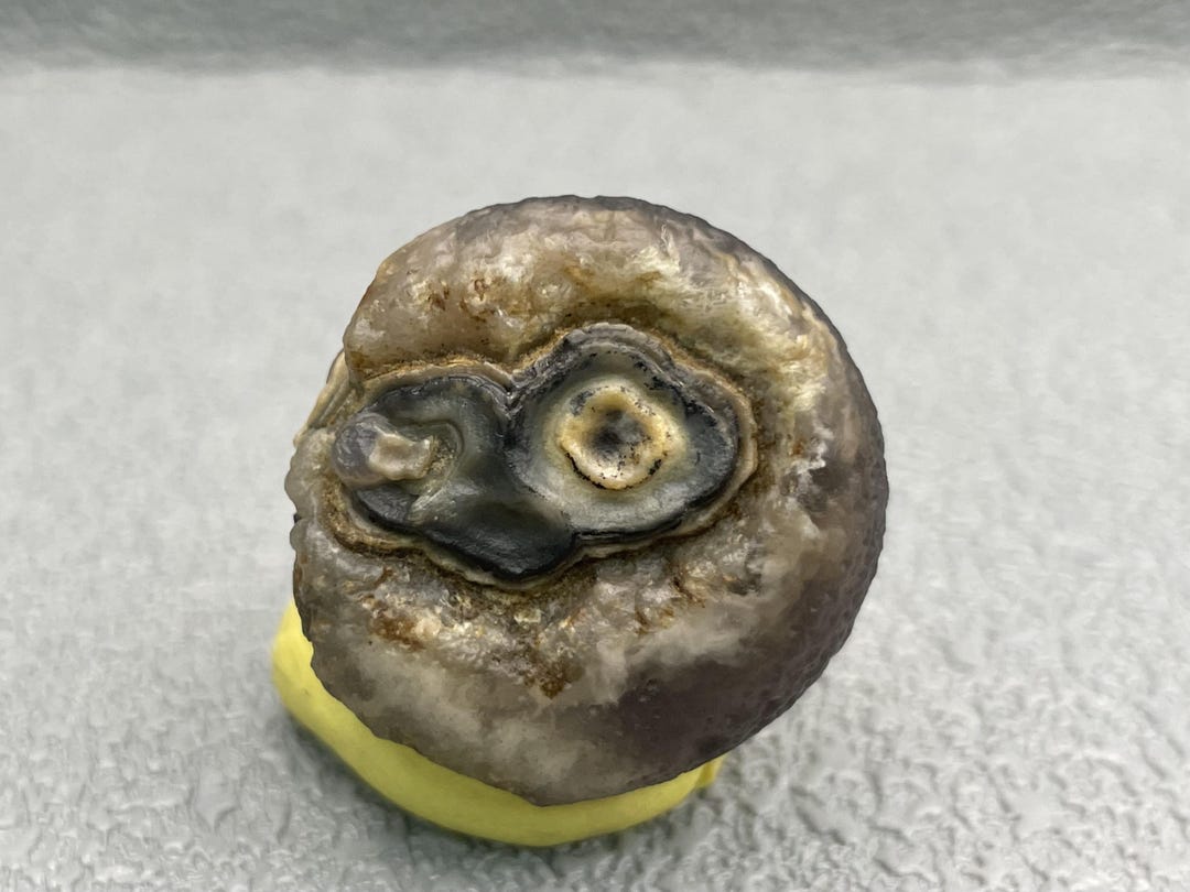 Mongolian Gobi Desert Eye Agate Gray Purple Cyclops Orbicular - Etsy