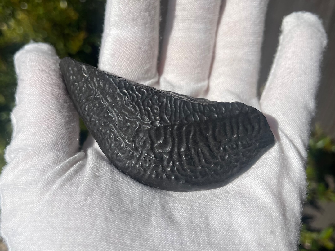 Moon Shape Gobi Desert Lop Nur Black Wrinkle Mudstone With Crispy ...