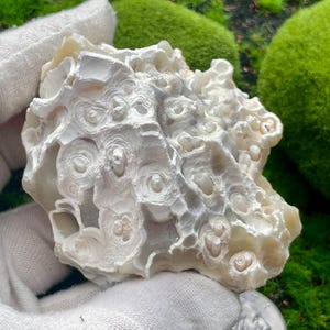 Naturally Formed Mountain Shape Botryoidal Madgascar Chalcedony With ...