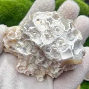 Naturally Formed Mountain Shape Botryoidal Madgascar Chalcedony With ...