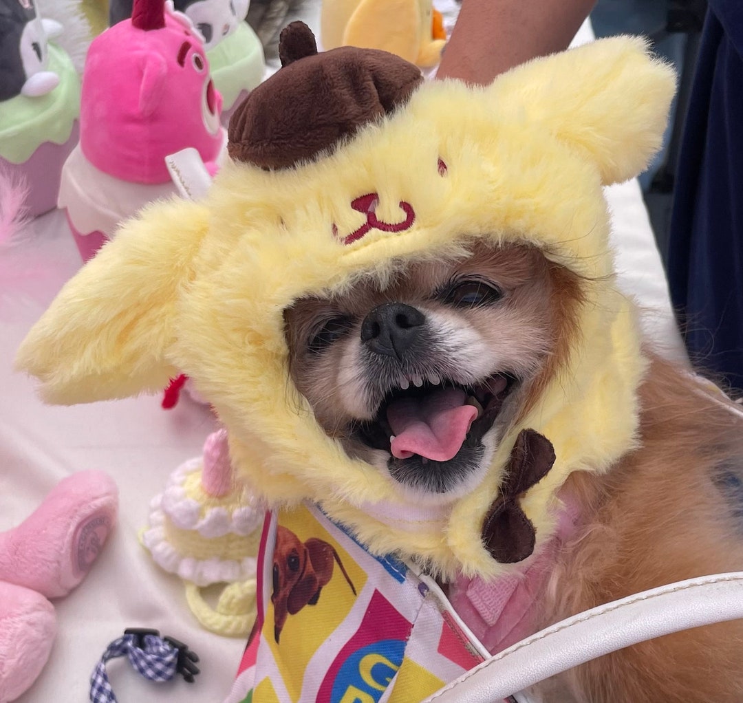 Sanrio Pet Hats Pompompurin Hello Kitty Melody - Etsy