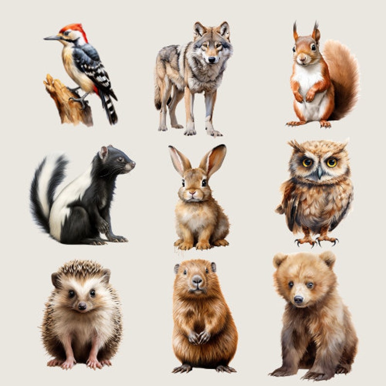Woodland Animals Clipart Watercolor Forest Animals Png - Etsy