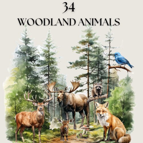 Woodland Animals Clipart Watercolor Forest Animals Png - Etsy