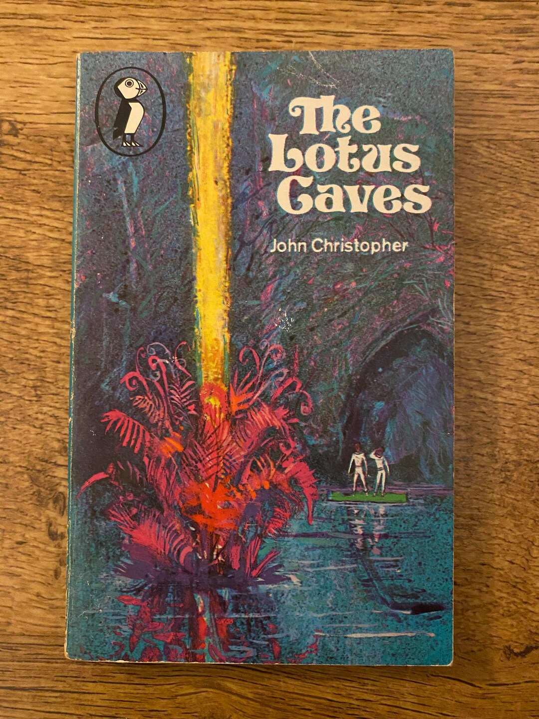 The Lotus Caves by John Christopher - Etsy