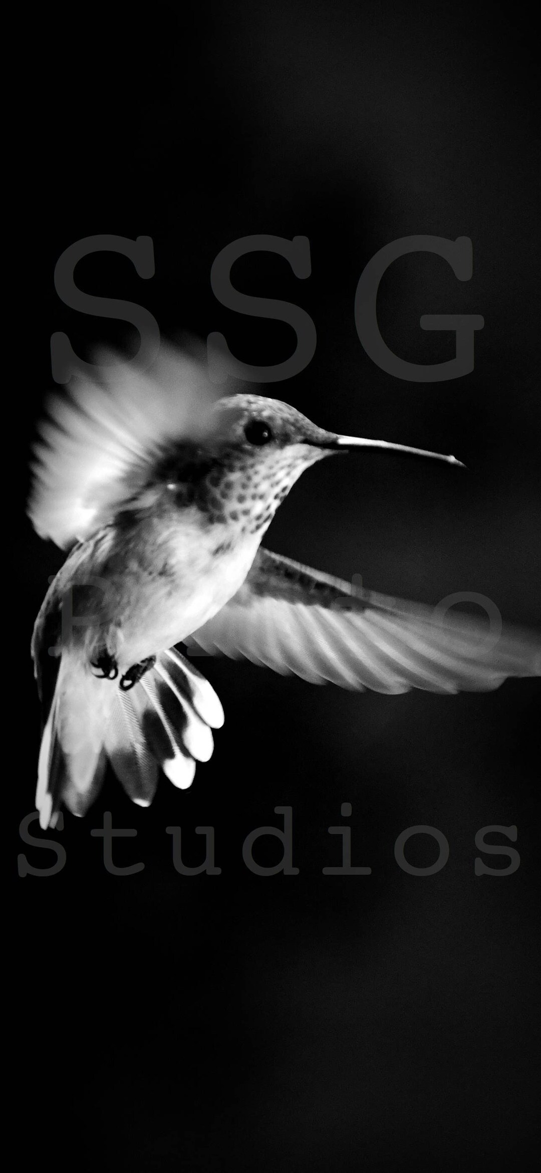 Hummingbirds Set iPhone Wallpaper, Nature Photography Wallpaper ...