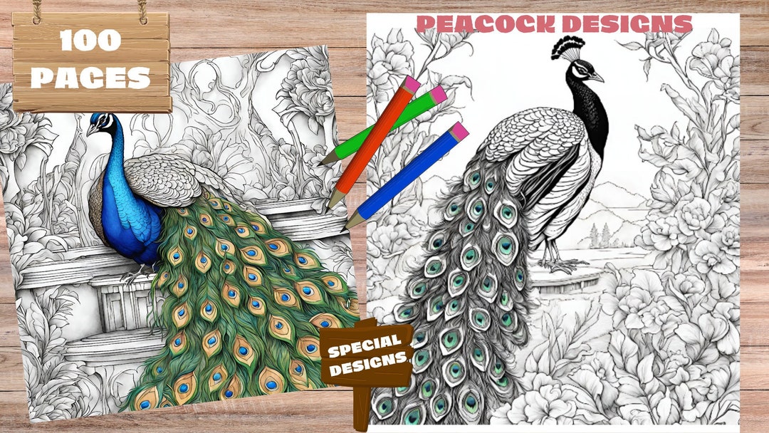 100 Pages Printable Peacock Coloring Book - Pdf Specially Designed ...