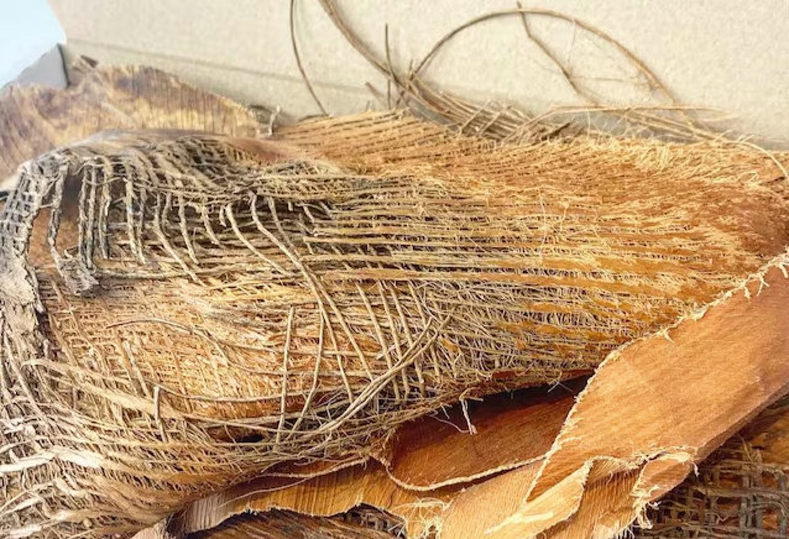 Naturally Dried Palm Tree Fiber - Etsy