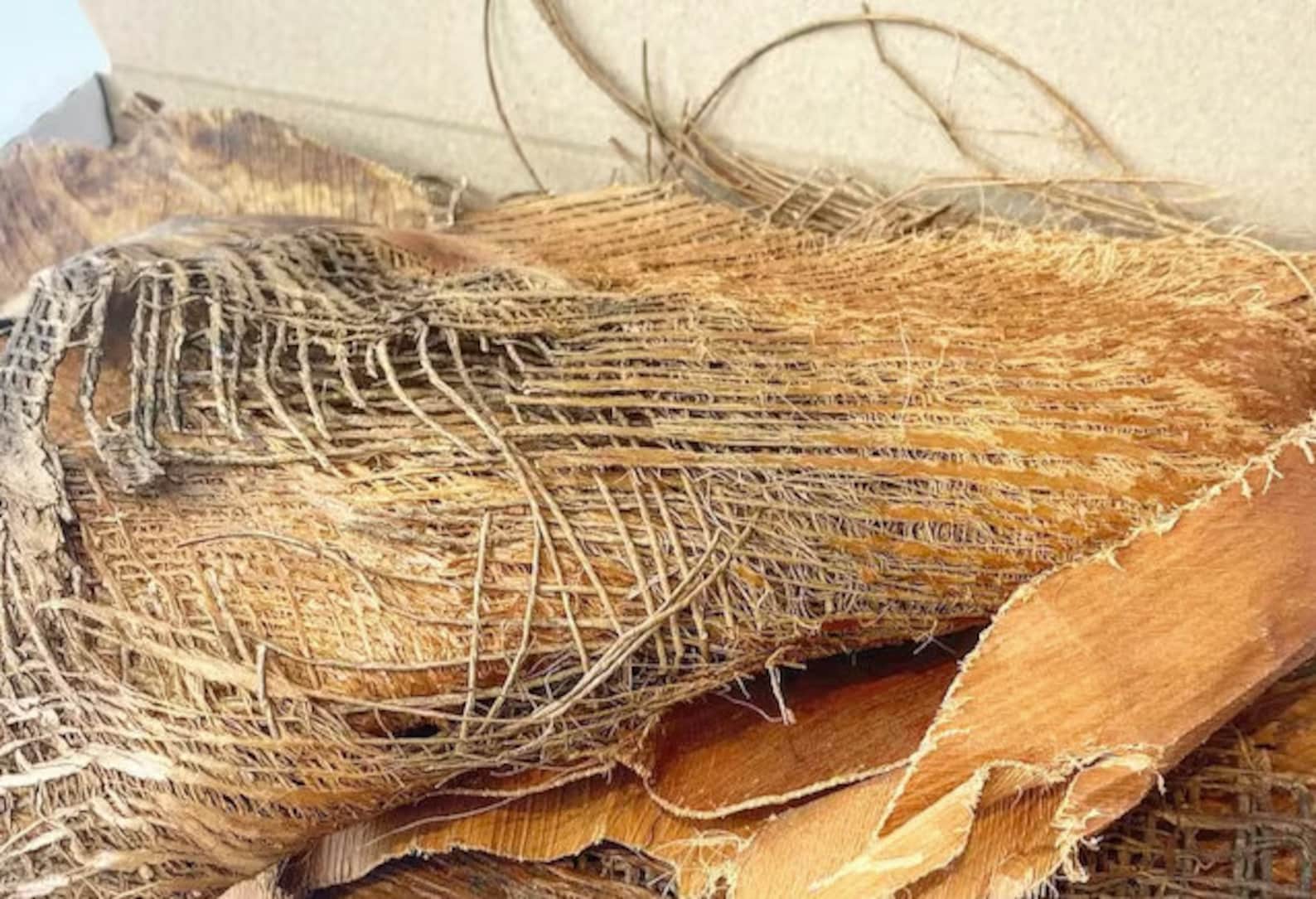 Naturally Dried Palm Tree Fiber - Etsy